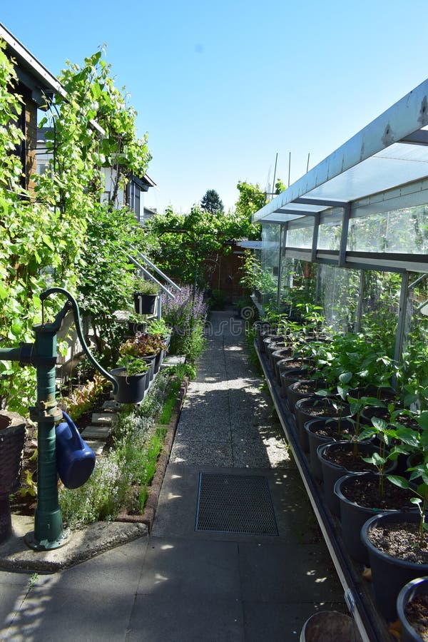 Way through a Densely Planted Fruit and Vegetable Garden Stock Image ...