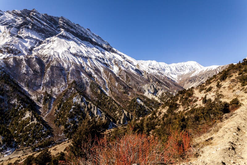 View of Tilicho Lake Tilicho Tal 4920 M. Himalayas, Nepal, Annapurna ...