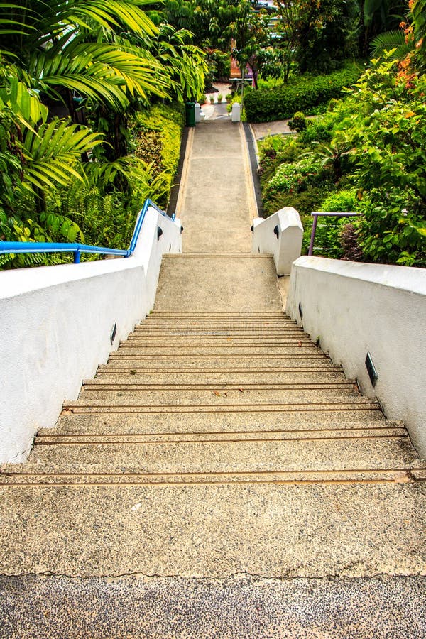 Way down stock image. Image of green, tree, natural, shape - 28010899