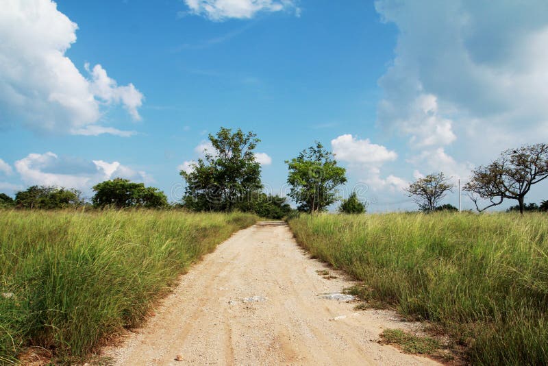 The way among the field stock photo. Image of asphaltroad - 45308700