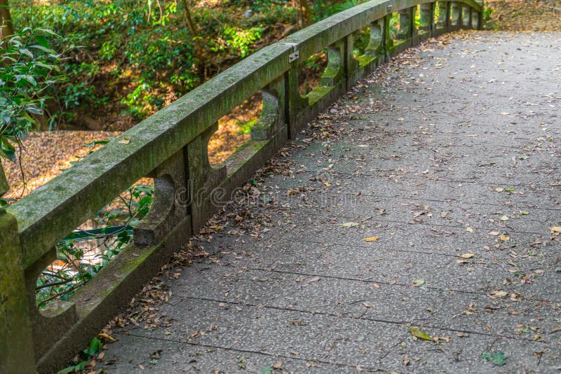 Way in forest . stock image. Image of mist, forest, countryside - 73443401