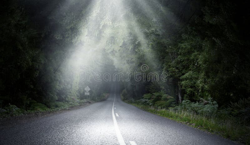 Way in forest stock image. Image of destination, tree - 109234971