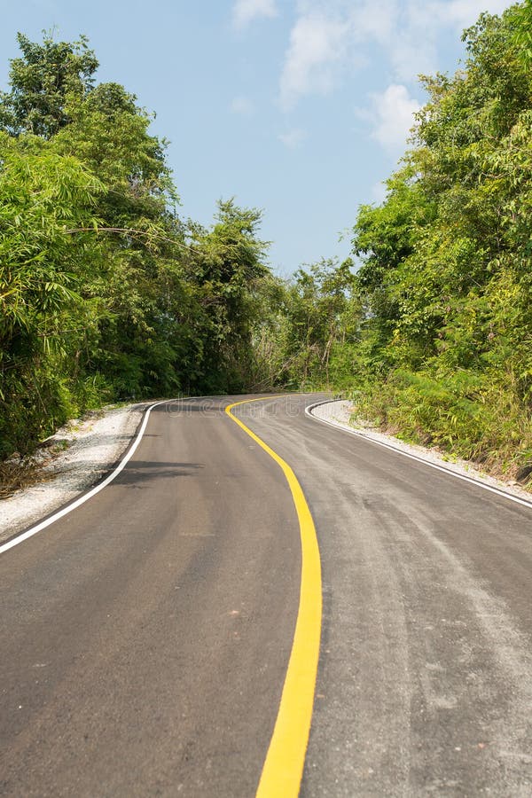 Way in forest stock photo. Image of blue, country, hill - 61969484