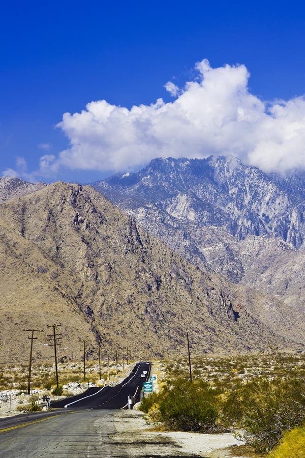 The way forward stock photo. Image of plants, park, wild - 26550080
