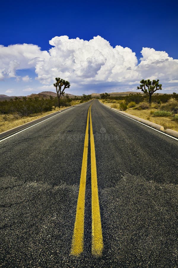 The way forward stock photo. Image of joshua, america - 26551006