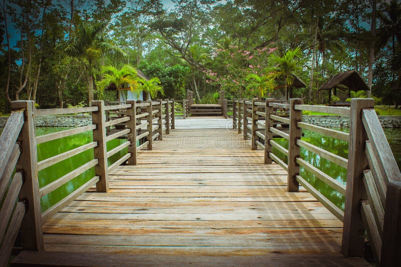 The way Forward stock image. Image of leading, forward - 132151439