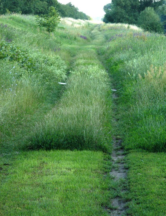Way in grass stock photo. Image of summer, trip, grass - 1473602