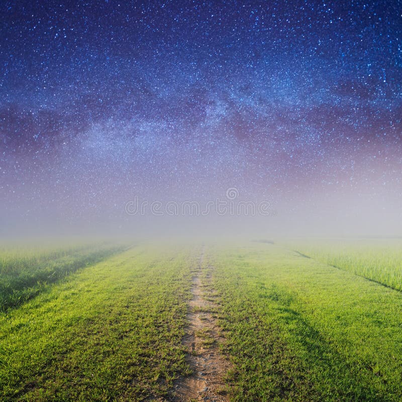 Green Grass Fields and Beautiful Sunset Stock Image - Image of country ...