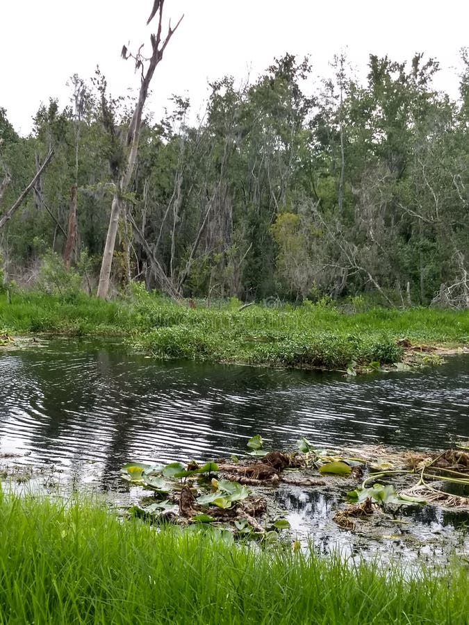 Florida waterways stock photo. Image of backdrop, waterways - 110770684