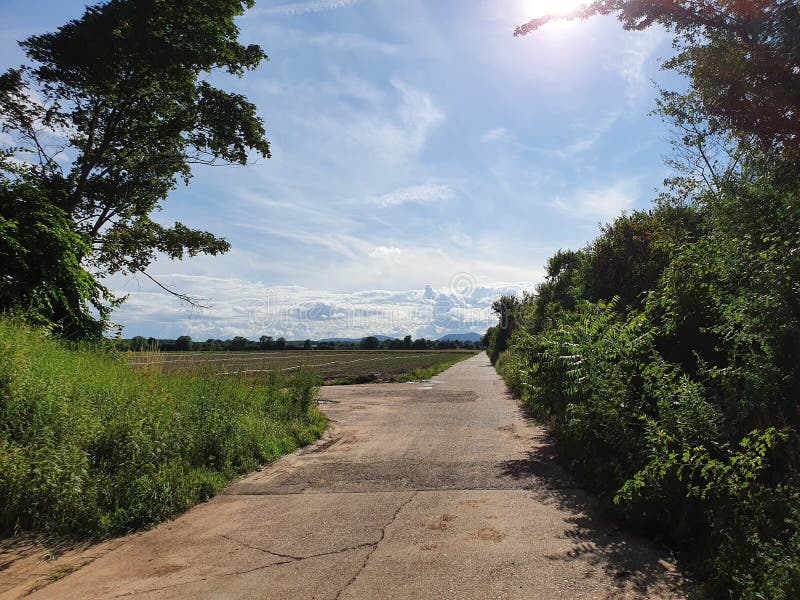 Way in the Landscape with a Blue Sky Stock Photo - Image of tree, field ...