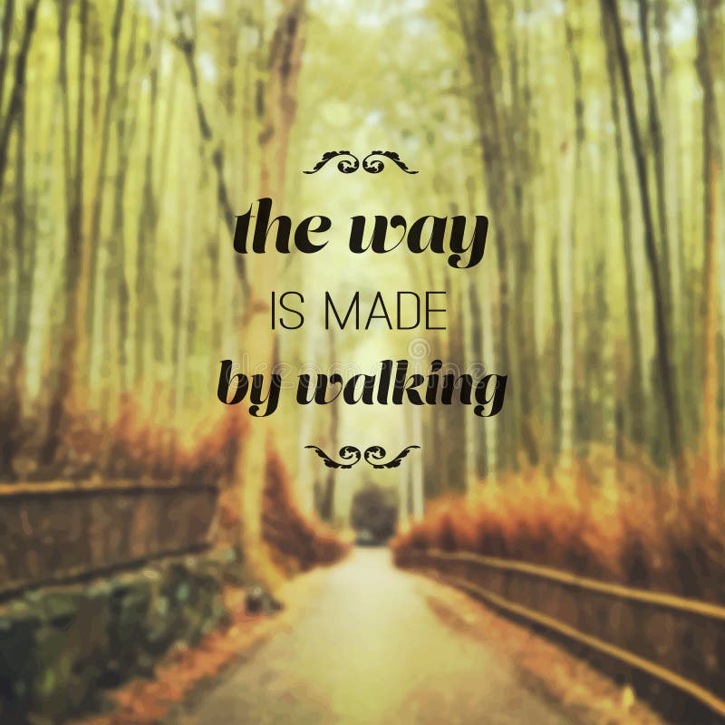 The Way is Made by Walking - Bamboo Forest Background Stock Vector ...