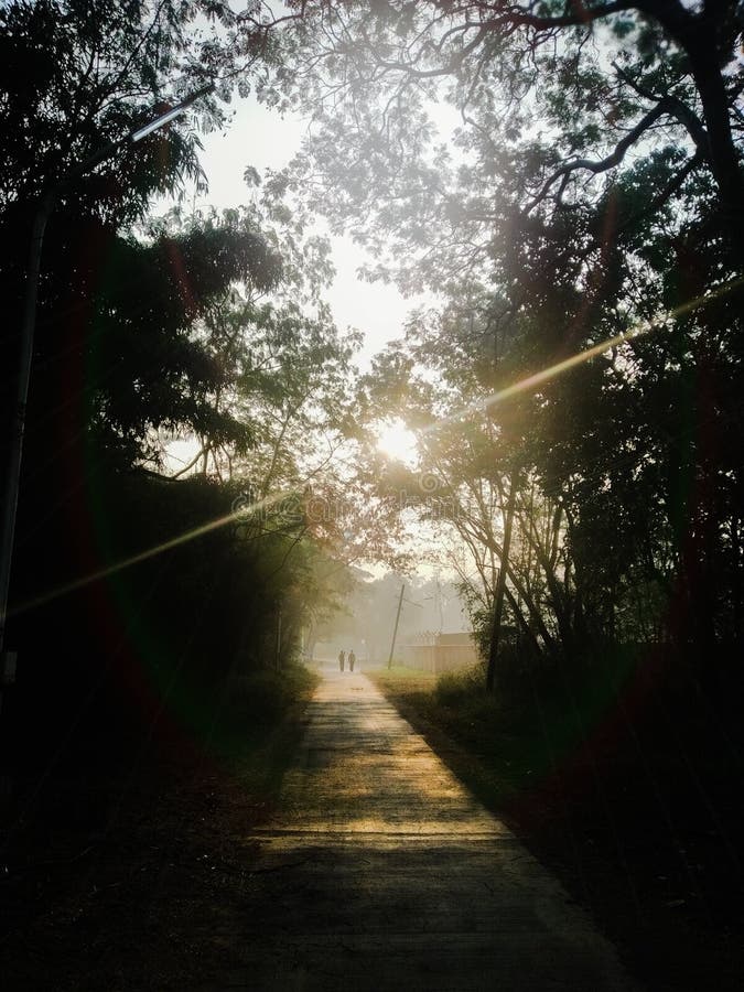 Way of Morning Walk and Sun Rise Stock Image - Image of rise, walk ...