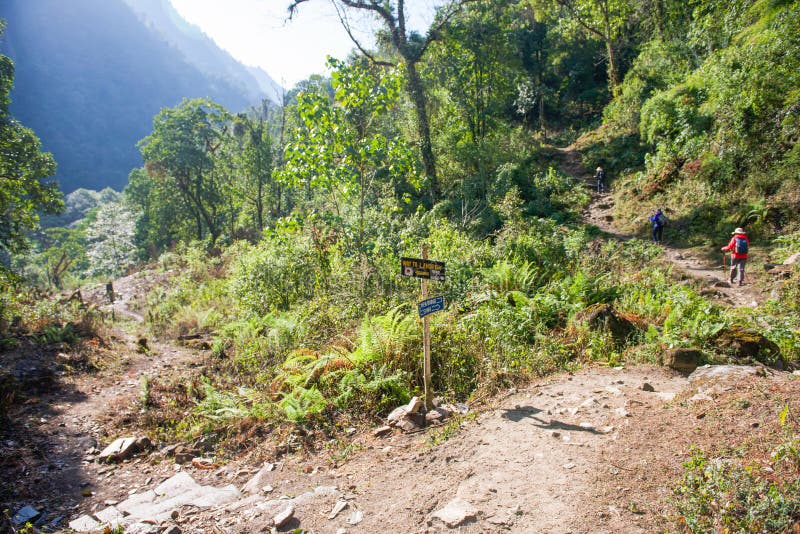 Way on the Mountain for Trekking Editorial Stock Photo - Image of ...