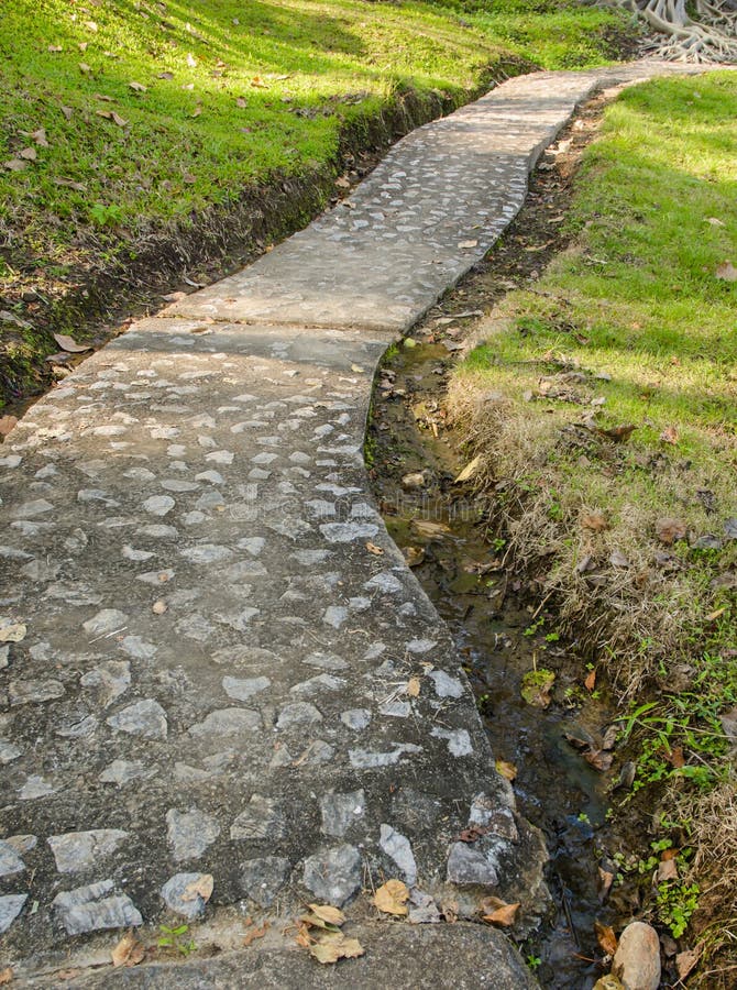 Way path through the park stock image. Image of natural - 45587295