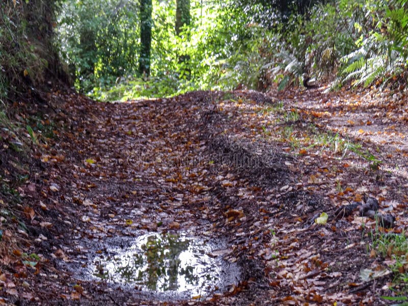 The Way stock photo. Image of holes, lake, puddle, hole - 243255326