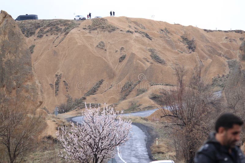 Sky cloud tree rock stock photo. Image of city, asphalt - 173093870