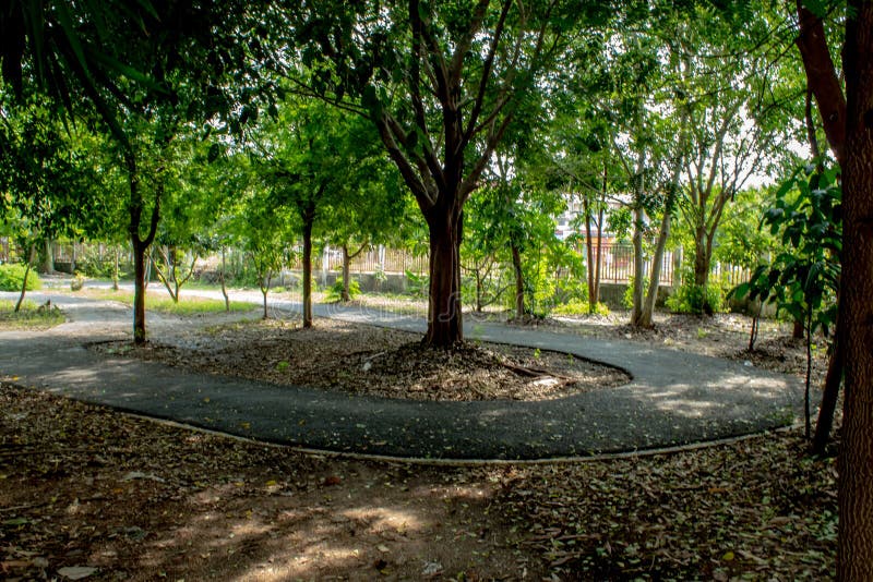 The Way for Running in the Park. Stock Image - Image of people, light ...