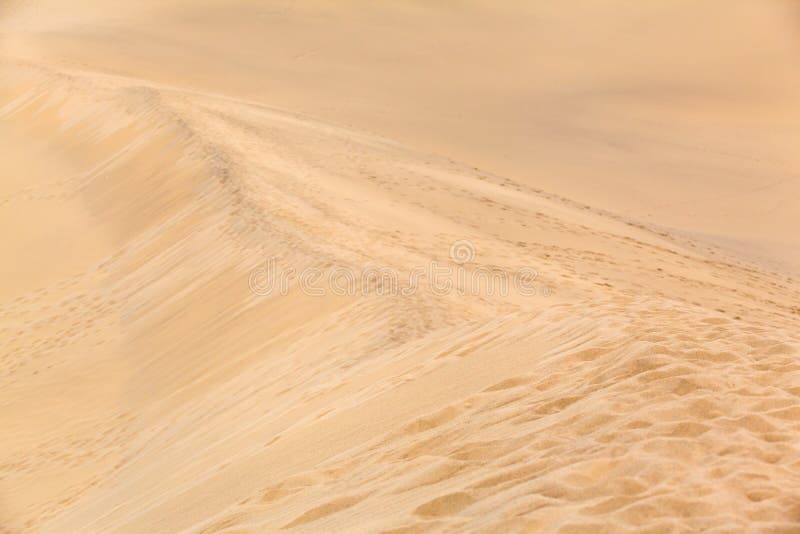 Way at Sandy Landscape stock photo. Image of wide, sand - 256975510