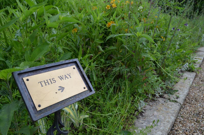 This way sign. stock image. Image of formal, metal, etched - 41322577