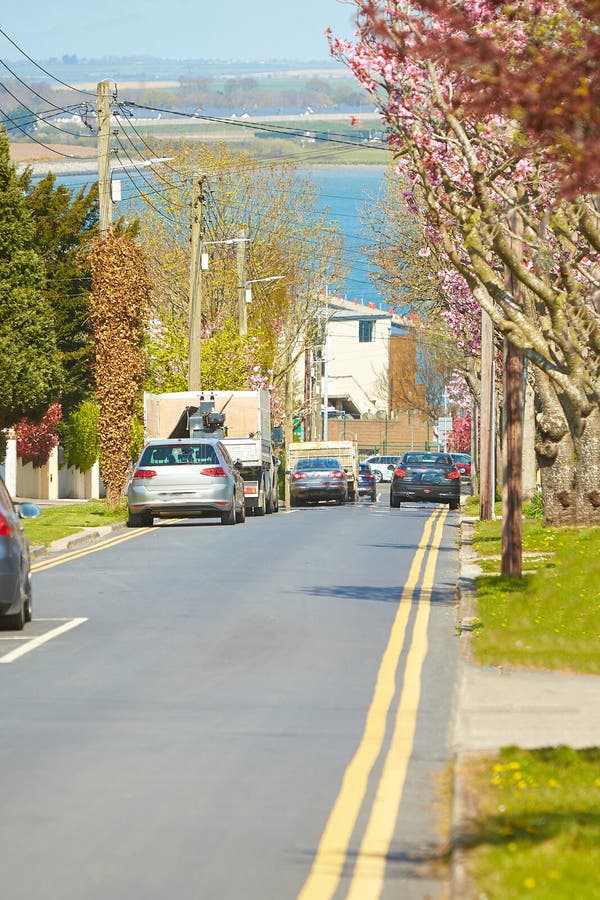 Way Street with Blooming Cherry Trees in Dublin. Stock Image - Image of ...