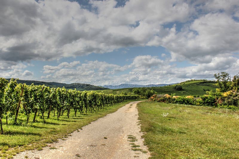 A way in summer stock photo. Image of france, pathway - 50479518