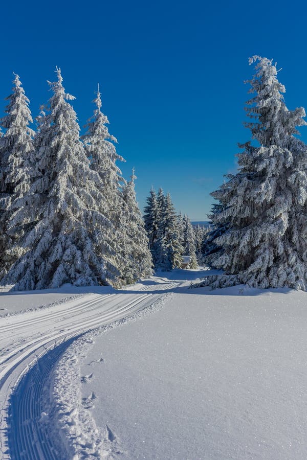 On the Way through the Thuringian Forest Stock Photo - Image of ...