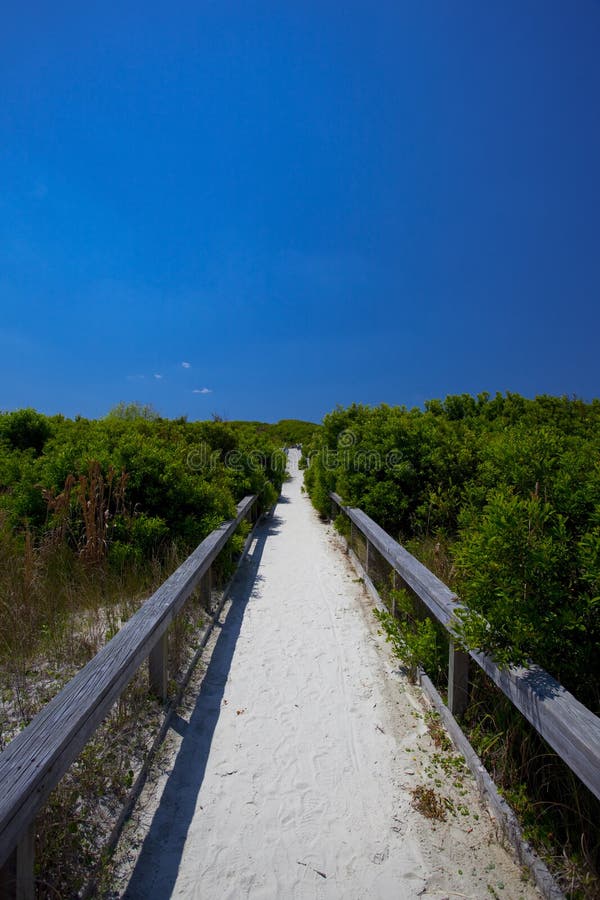 The Way to the Beach stock image. Image of bushes, summery - 15237475