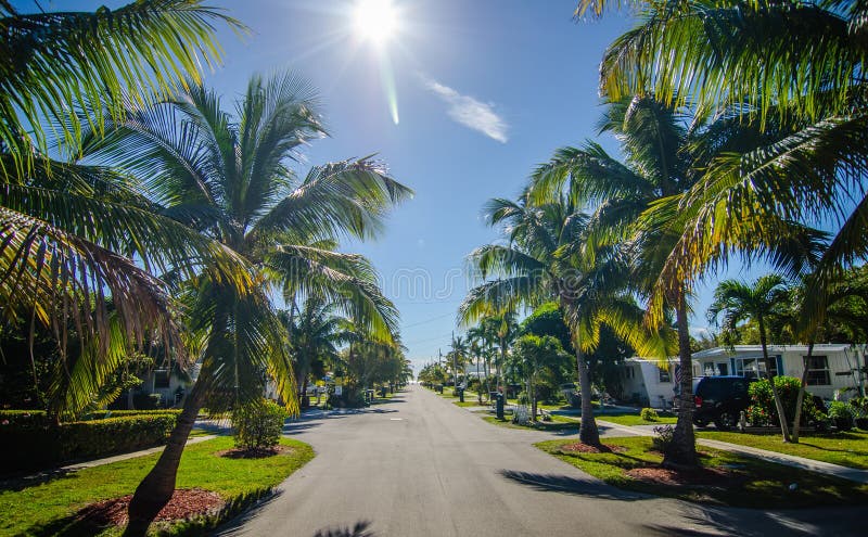 Way To the Beach with Palm Trees in Key West Florida Stock Image ...