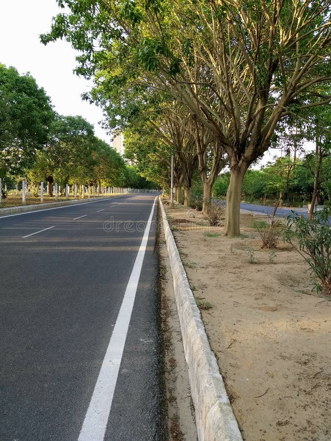 Way To City and Green Big Trees Stock Photo - Image of trees, city ...