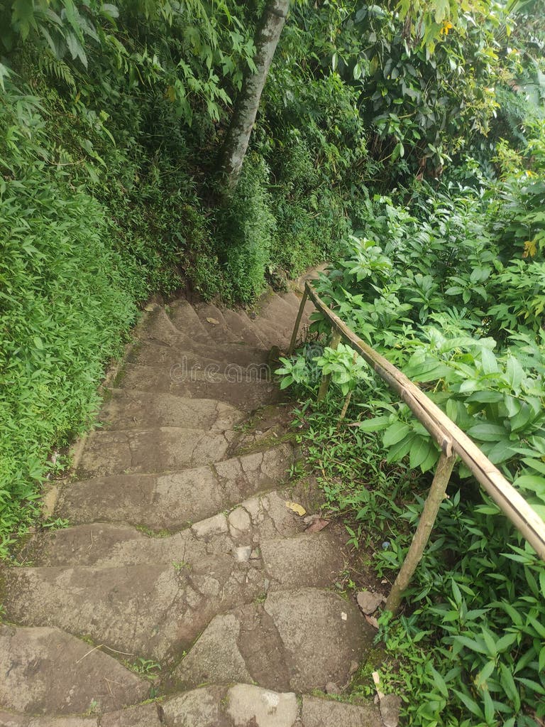 Landung Zo Stock Photos - Free & Royalty-Free Stock Photos from Dreamstime