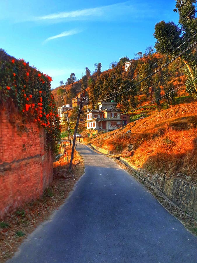Way stock image. Image of nature, dream, road, flowers - 138167263
