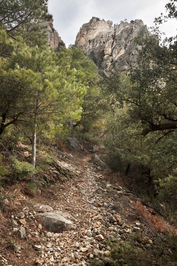 Way to El Parrizal stock photo. Image of empty, high - 75301736