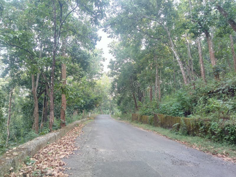 Natural Seen Stock Photos - Download 36,902 Royalty Free Photos