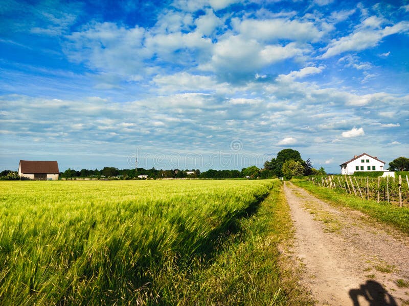 The way to go home stock image. Image of grass, cloud - 247656847
