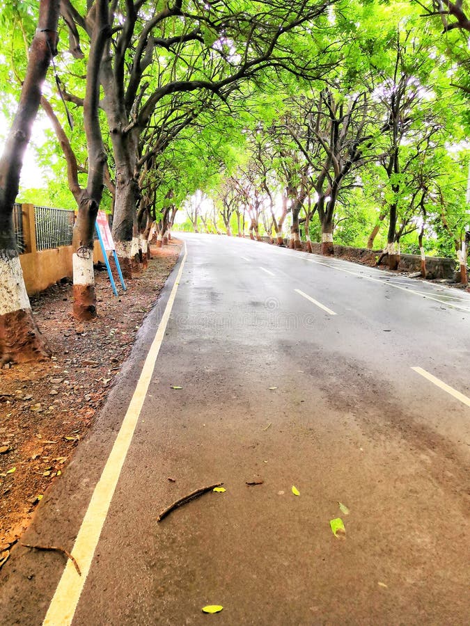 Way to go stock photo. Image of jusskeepgoing, path - 119696366