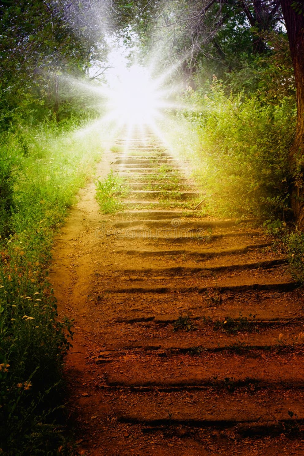 3,590 Path To Heaven Stock Photos - Free & Royalty-Free Stock Photos ...