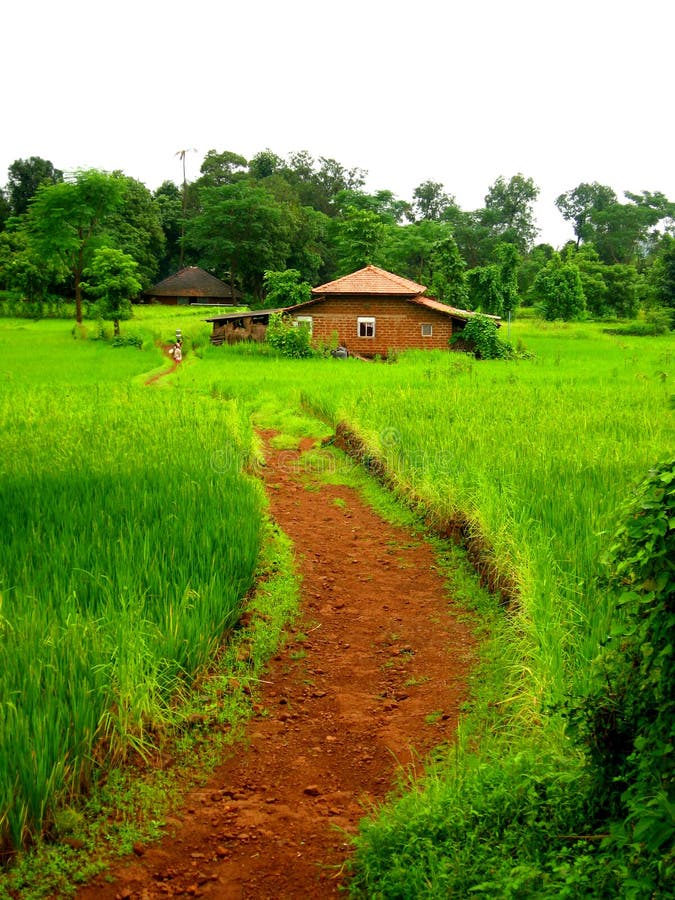 Way to the home stock photo. Image of cottage, rural - 18021386