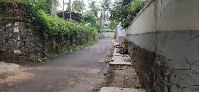 Way to home stock image. Image of plants, stone, deadend - 183838767