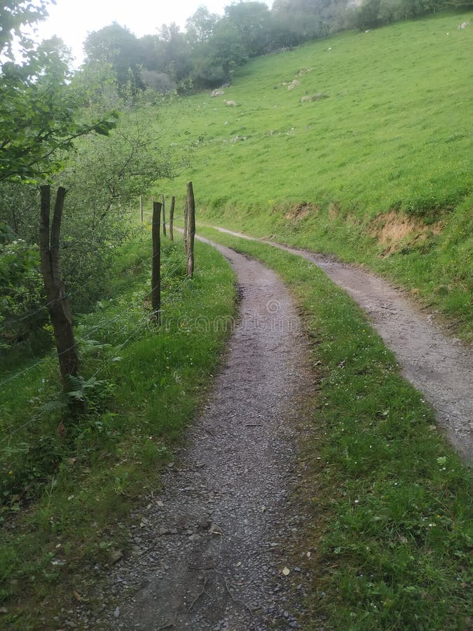 Way to home, country road stock image. Image of country - 181901923