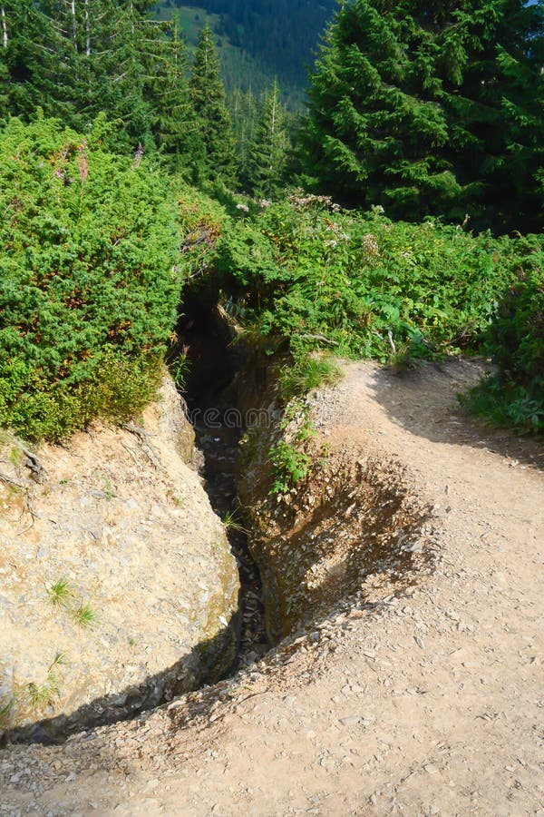 Hoverla, the Highest Mountain in Ukraine Stock Image - Image of ...