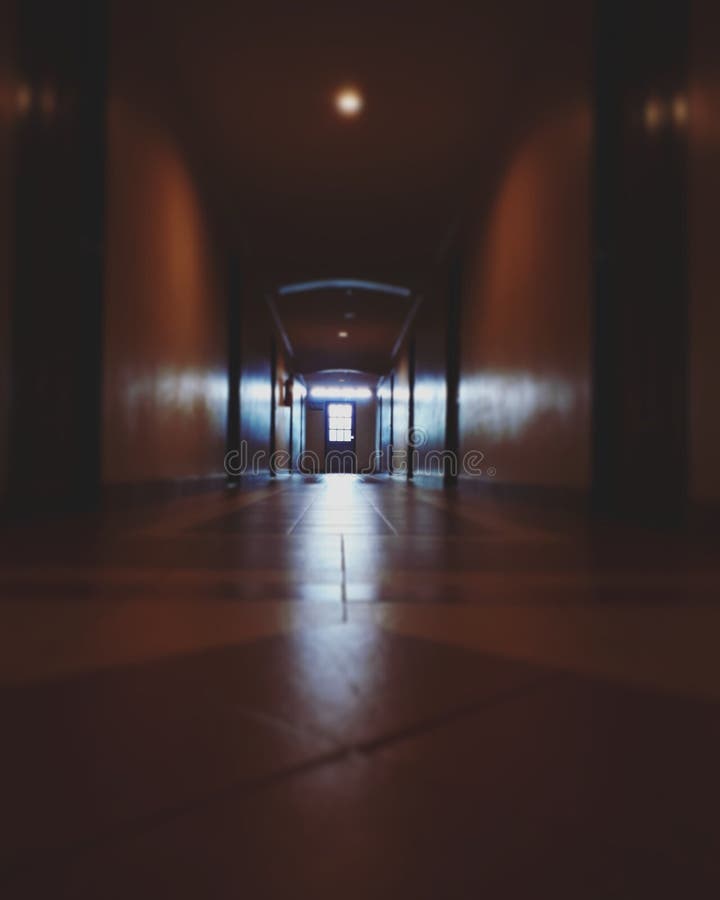 Way to light stock image. Image of dark, light, night - 159123231