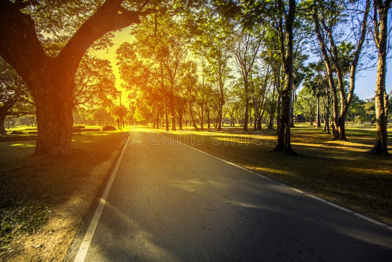 Way to light stock image. Image of light, lighting, concept - 148334725