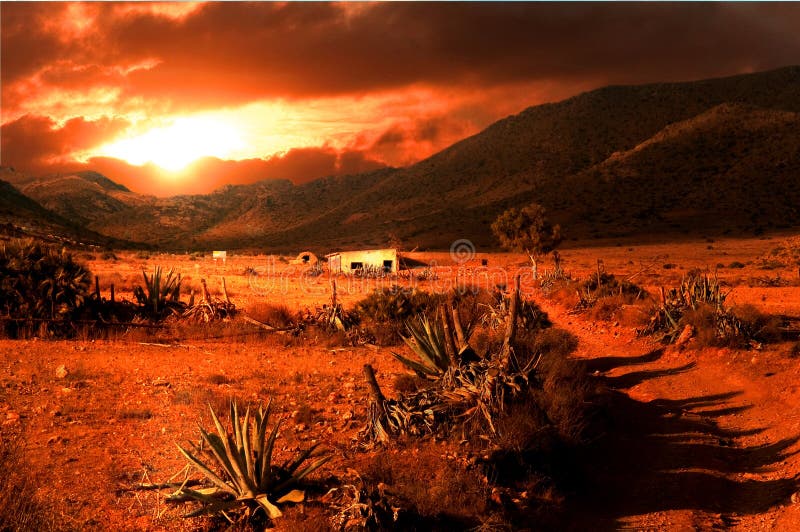 Way to nowhere stock photo. Image of beautiful, cultivate - 1384308