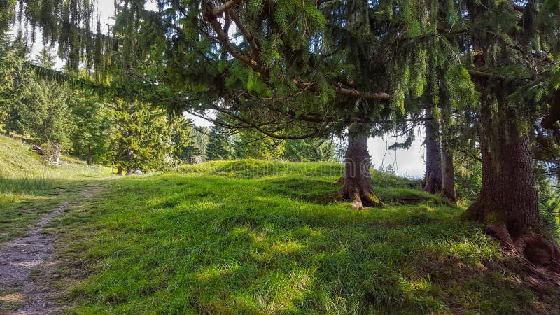 The Way To the Wendelstein Mountain in Bavaria Stock Image - Image of ...