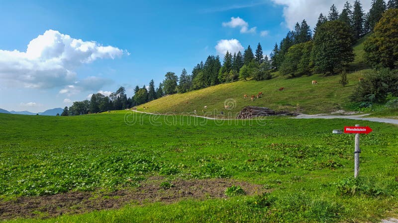 The Way To the Wendelstein Mountain in Bavaria Stock Photo - Image of ...