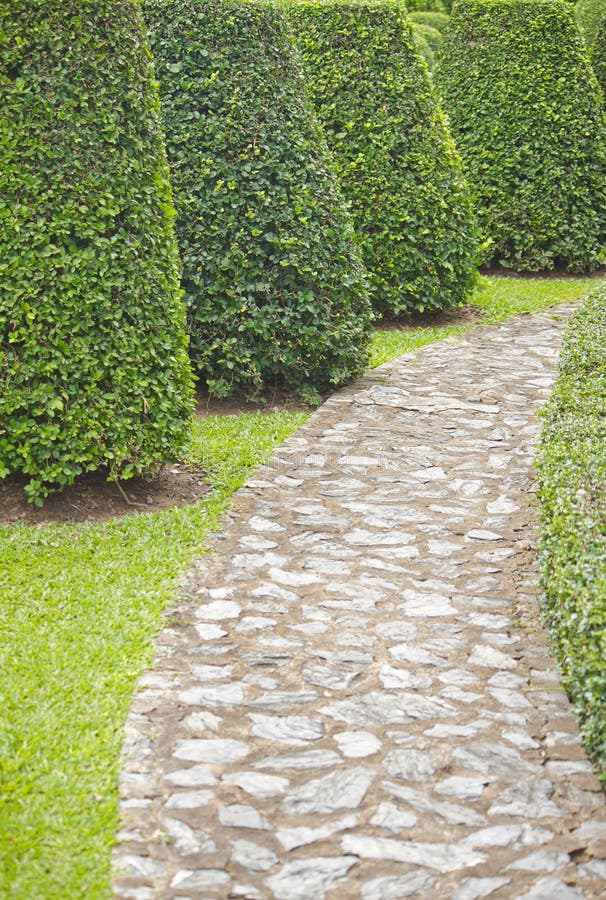 Way with trees stock image. Image of beauty, plants, garden - 25668037