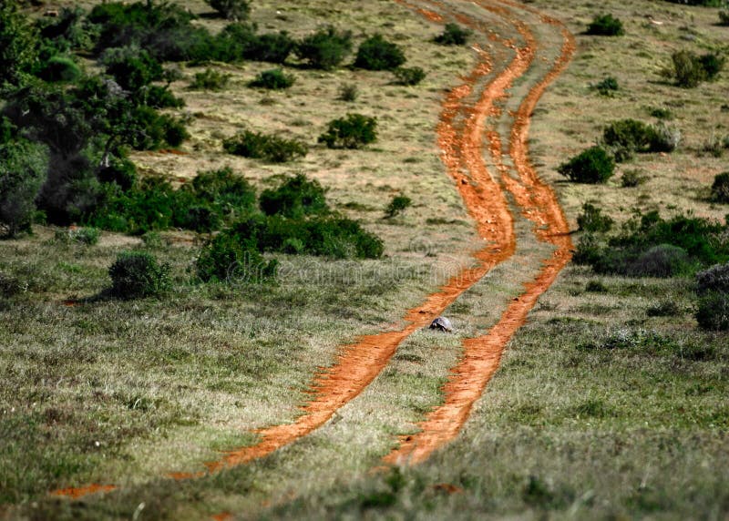 Steady Pathway Stock Photos - Free & Royalty-Free Stock Photos from ...