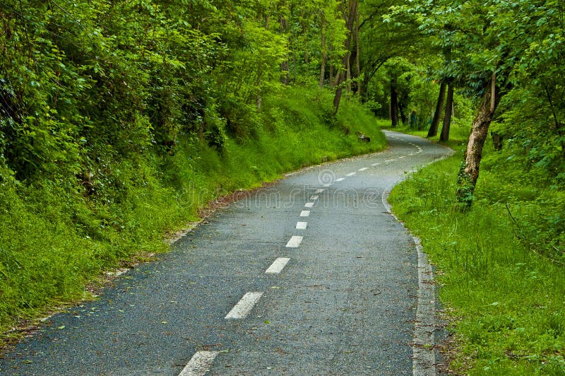 Winding Country Road England Stock Photo - Image of english, landscape ...