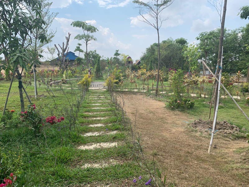 Way for walk in garden stock image. Image of green, nice - 142842463