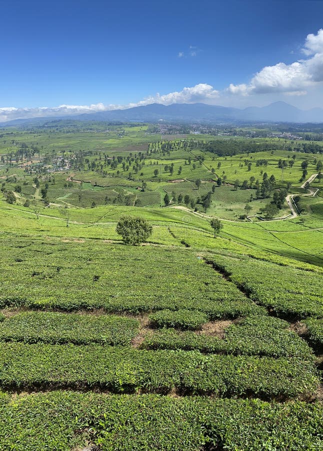 Wayang-Windu , Bandung - West Java - Indonesia Stock Image - Image of ...